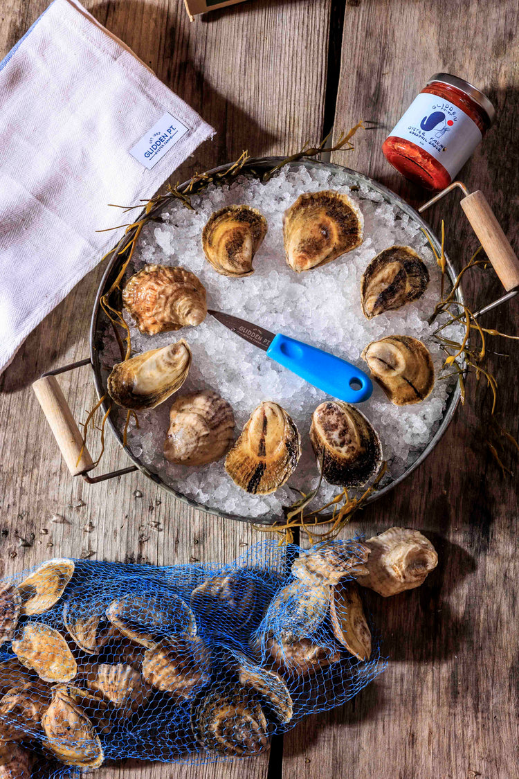 Order the Best of Maine's Oysters – Glidden Point Oyster Farms
